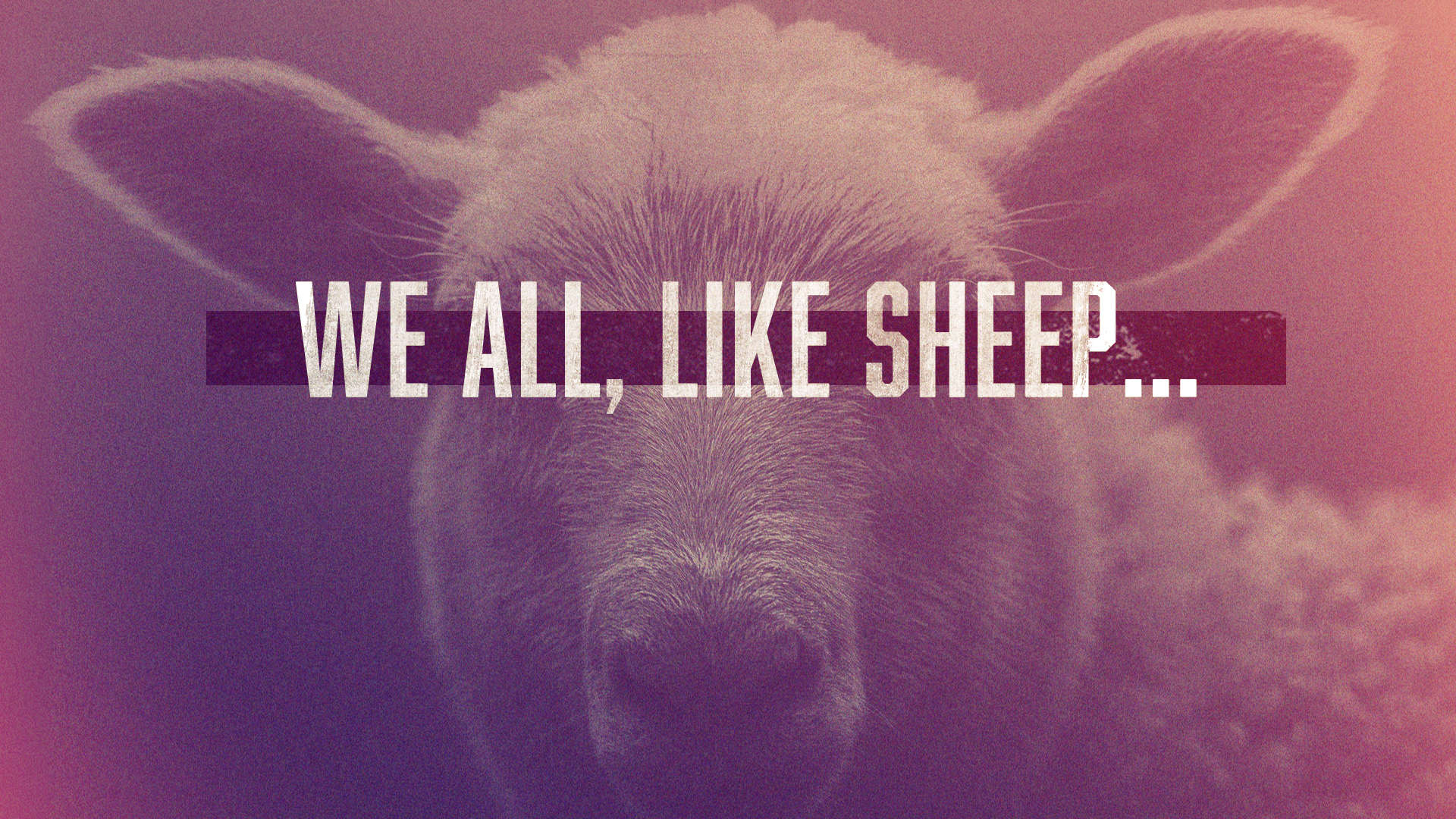 We All, Like Sheep… – Harvest Concord